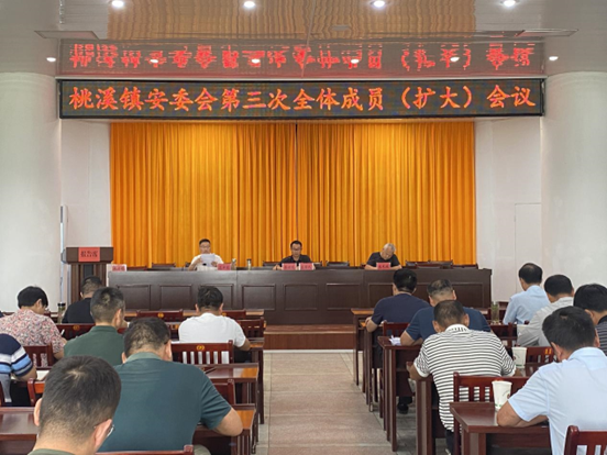 桃溪镇：召开安委会第三次全体成员（扩大）会议_舒城县人民政府